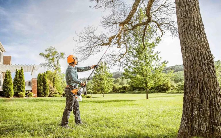 JH Tree And Gardening Services